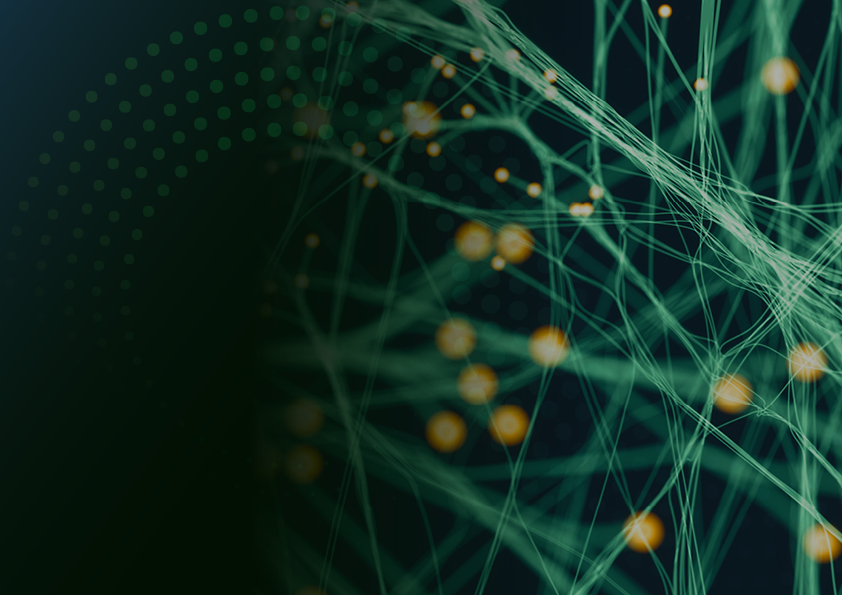 Pro MGA Global Solutions brochure - Pro Global