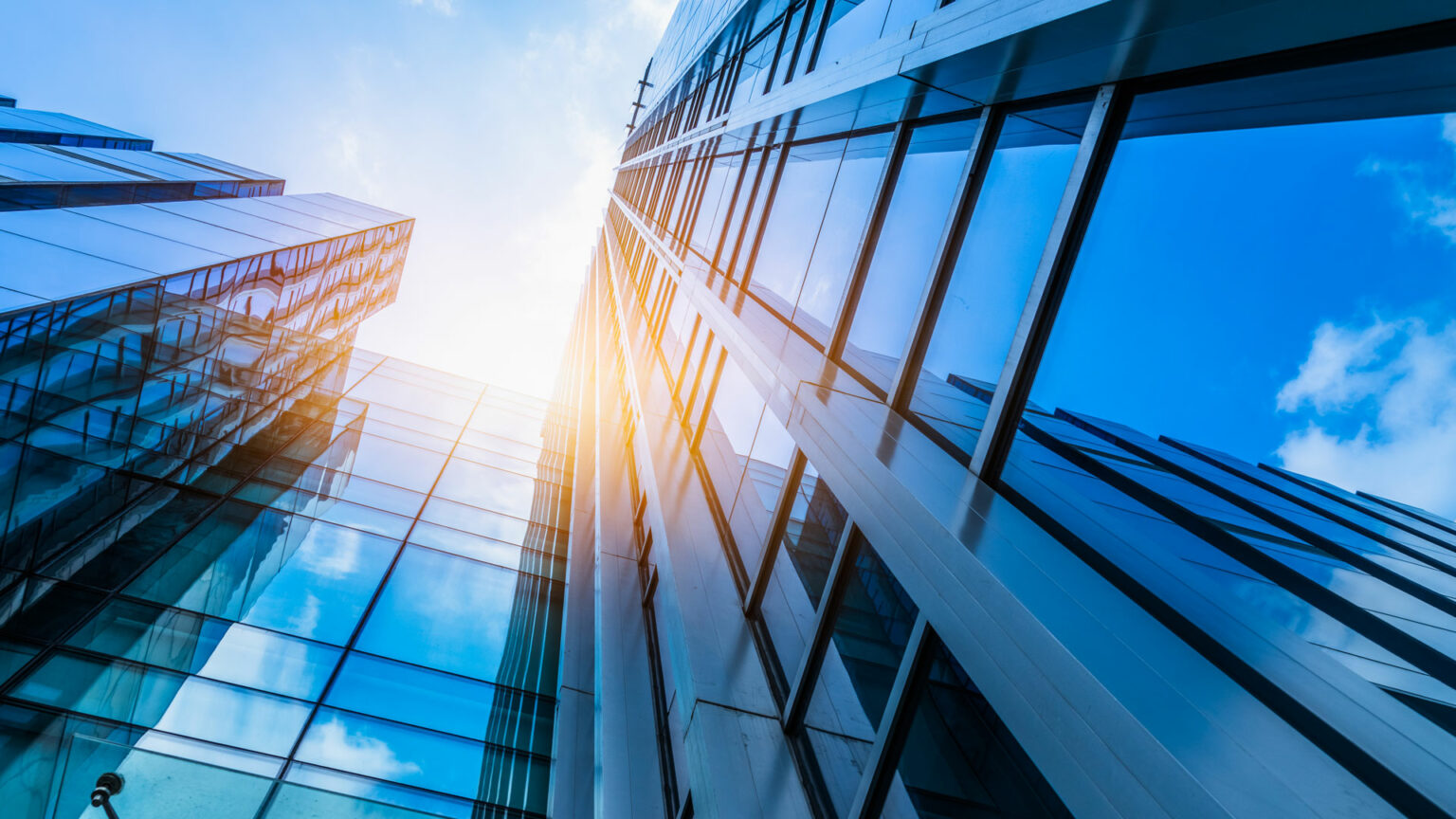 The Rising Demand for EU Audit & Advisory Services in Italy - Pro Global