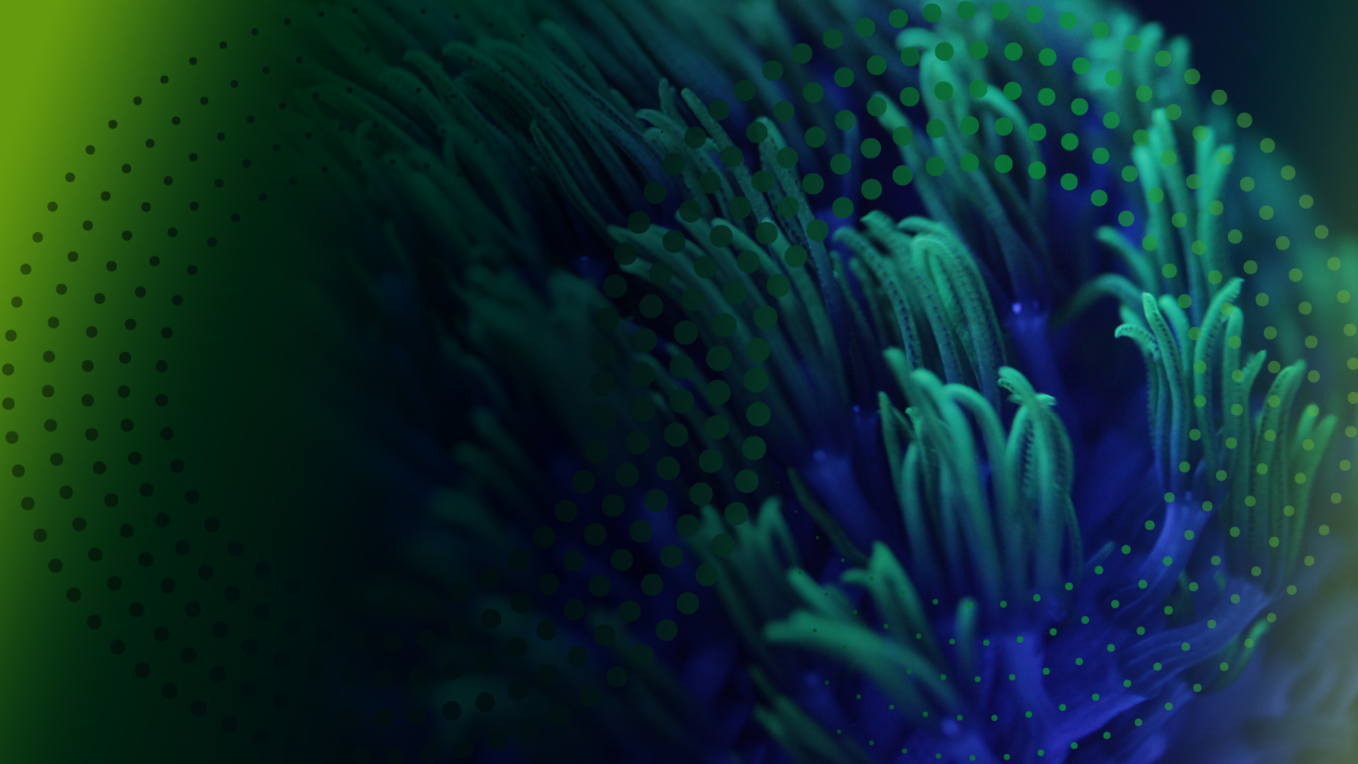 Podcast: Behind The Headlines - Insights from Pro MGA Global Solutions ...